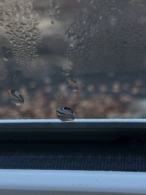 ANLIN WINDOWS & DOORS - Updated December 2025 - 218 Photos & 603 ...