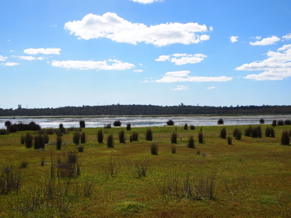 THOMSONS LAKE - Russell Rd, Perth Western Australia, Australia - Lakes ...