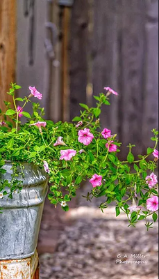 Olpe, KS Map & Directions - MapQuest