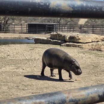 OX RANCH - Updated October 2025 - 109 Photos & 36 Reviews - 1946 ...