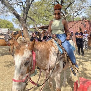 WESTCREEK TRAIL RIDES - 76 Photos & 66 Reviews - Horseback Riding ...