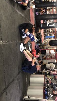 BOE BOXING & FITNESS - 23 Photos & 44 Reviews - 1801 E Tropicana Ave ...