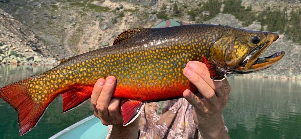 JASPER PARK FISHING - Updated December 2024 - 22 Photos - 632 Connaught ...