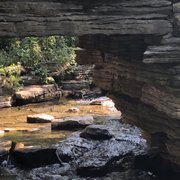 NORTH PARK VILLAGE NATURE CENTER - 147 Photos & 67 Reviews - Parks ...