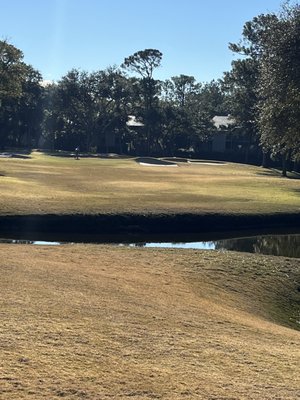 THE PLANTATION COURSE - Updated January 2026 - 13 Reviews - 19 Fairway ...