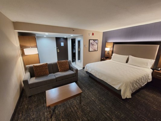 HOLIDAY INN & SUITES CHICAGO-CAROL STREAM - Updated July 2025 - 40 ...