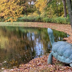 COZY QUARTERS FARM - Updated February 2025 - 607 Madison St, Delaware ...