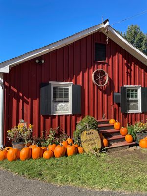 HACKLEBARNEY FARM CIDER MILL - Updated September 2024 - 236 Photos ...