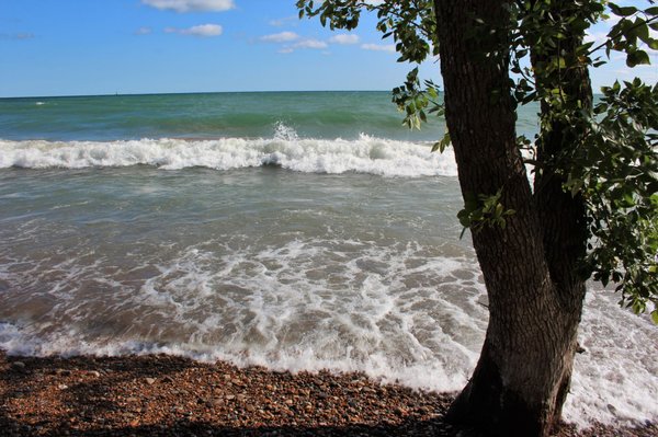 WHIHALA BEACH CO PARK - Updated June 2024 - 54 Photos & 25 Reviews ...