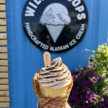WILD SCOOPS - Updated July 2025 - 23 Photos & 19 Reviews - 717 W 3rd ...