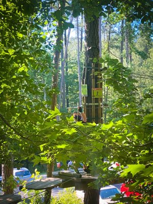 GO APE ZIPLINE & ADVENTURE PARK - Updated June 2025 - 126 Photos & 88 ...