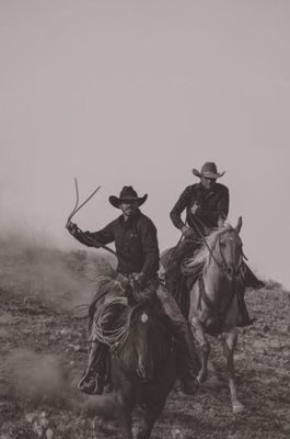 BOOT BARN - Updated March 2025 - 16 Photos - 1131 Tolland Trnpke ...