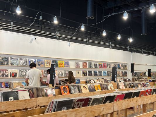 NIVESSA VINYL RECORDS THE MUSIC EXPERIENCE HOLLYWOOD - Updated December ...