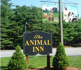 ANIMAL INN - Updated October 2025 - 10 Photos & 37 Reviews - 2 Rte 130 ...