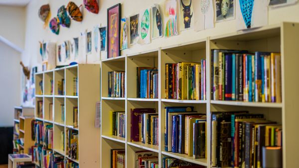 THE KNOWLEDGE SHOP - Updated January 2026 - 13 Photos - 2723 W 54th St ...