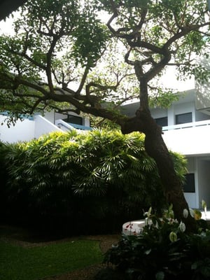 MANOA INNOVATION CENTER - Updated November 2025 - 2800 Woodlawn Dr ...