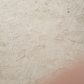 PASADENA ROVING ARCHERS - 182 Photos & 146 Reviews - 415 S Arroyo Blvd ...