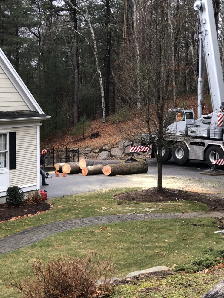 ADVANCED LANDSCAPING - Updated December 2025 - 119 Photos - Duxbury ...