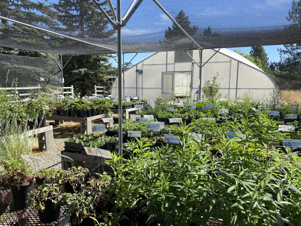CEDAR MOUNTAIN PERENNIALS - Updated May 2026 - 7875 East Highway 54 ...