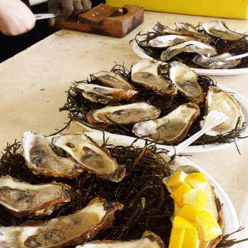 RYER’S LOBSTERS - Updated December 2025 - 57 Photos & 35 Reviews - 8494 ...