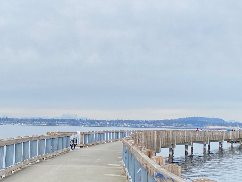 TAYLOR DOCK BRIDGE - Updated July 2024 - 31 Photos - Bellingham ...