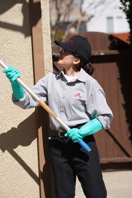 ADVANCED INTEGRATED PEST MANAGEMENT - Updated October 2025 - 39 Photos ...