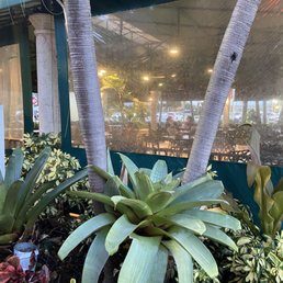 LATIN CAFE 2000 - Updated October 2025 - 702 Photos & 640 Reviews - 875 ...