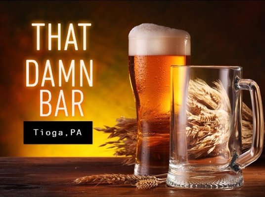 THAT DAMN BAR - Updated October 2025 - 14 Photos - 17907 Rt 287, Tioga ...