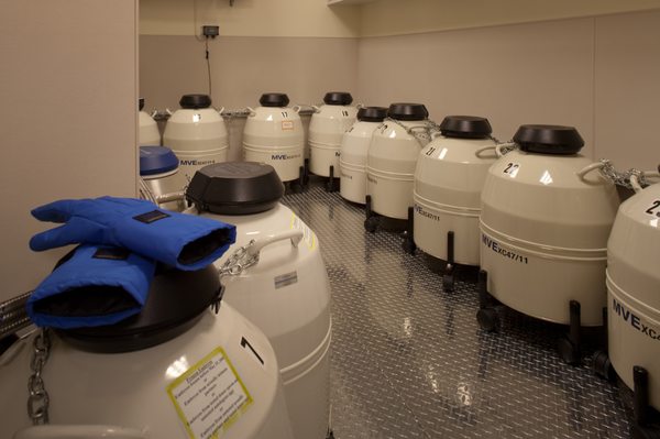 REPRODUCTIVE SCIENCE CENTER - Updated December 2025 - 28 Photos & 174 ...