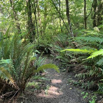 WEATHERWAX COSTAL RAINFOREST - Updated December 2025 - 26 Photos & 10 ...