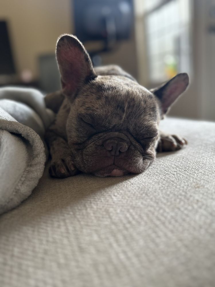 CAMP LISA - Updated July 2025 - 37 Photos & 56 Reviews - 1550 Kellogg ...