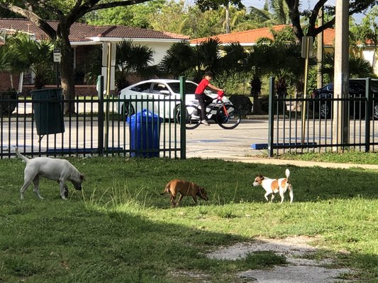 CHARLES HADLEY PARK - Updated September 2025 - 14 Photos - 1300 NW 50th ...