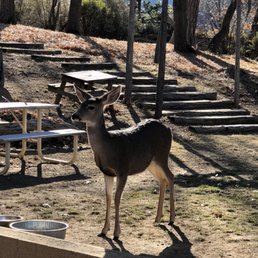 PIERPOINT BAR & GRILL - Updated December 2024 - 55 Photos & 47 Reviews ...