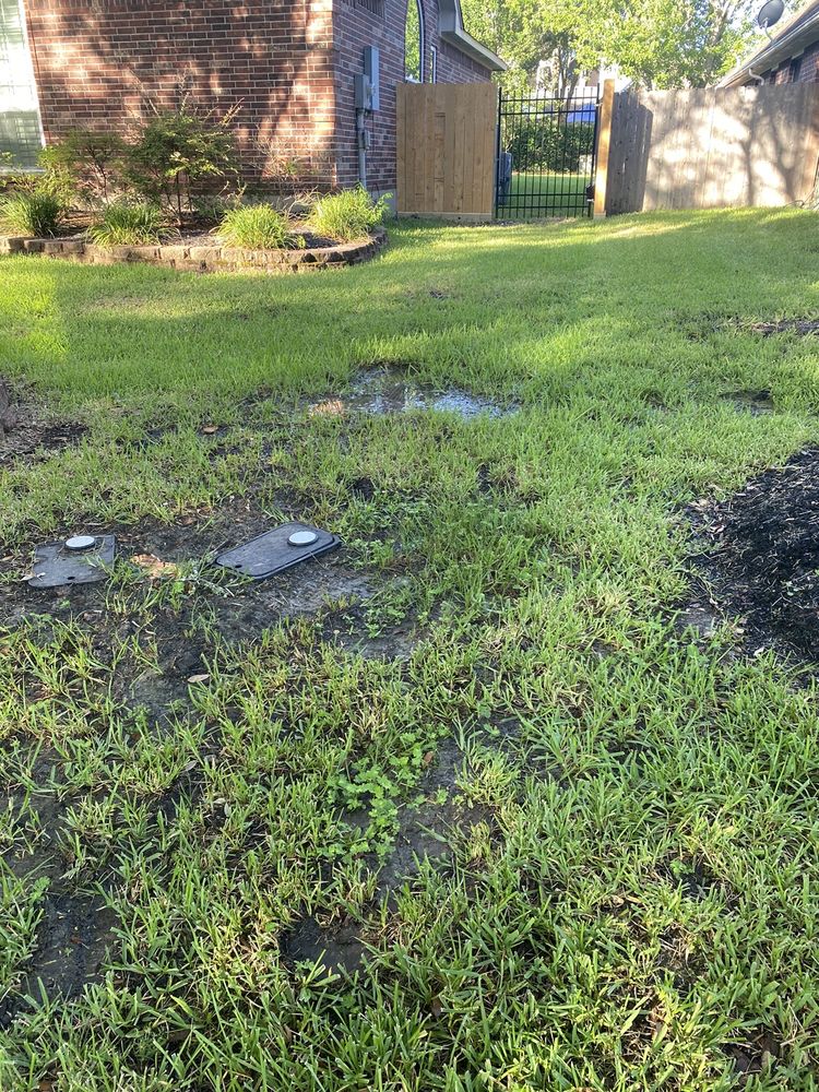 TREE SOLUTIONS OF TEXAS - Updated November 2024 - 14 Photos & 13 ...