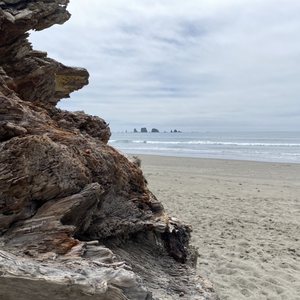 FIRST BEACH | 73 Photos & 18 Reviews | La Push, Washington | Beaches | Yelp