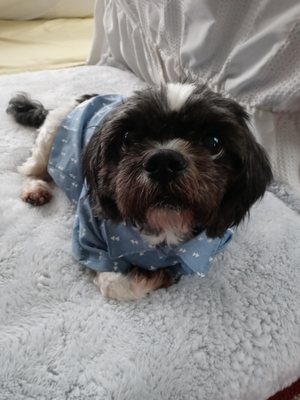 SPCA FLORIDA - Updated December 2024 - 90 Photos & 61 Reviews - 5850 ...