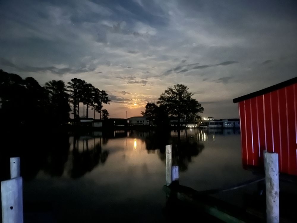 WEISS LAKE CAMPGROUND AND MARINA - Updated March 2025 - 470 Pine Cone ...