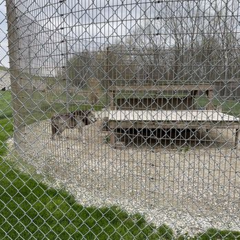 BIG RUN WOLF RANCH - Updated September 2025 - 84 Photos & 35 Reviews ...