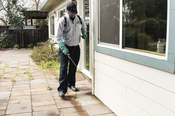 WOODLAND-DAVIS TERMITE & PEST CONTROL - Updated December 2025 - 17 ...