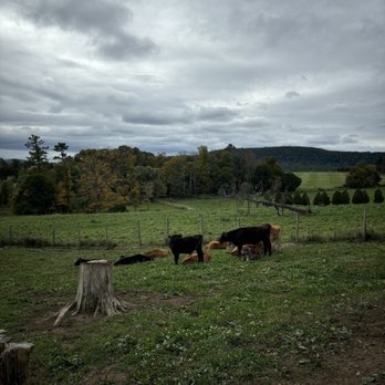 HIGH LAWN FARM - Updated August 2025 - 176 Photos & 63 Reviews - 535 ...