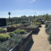 STONEVIEW NATURE CENTER - 120 Photos & 16 Reviews - 5950 Stoneview Dr ...