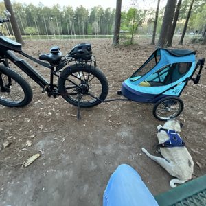 CAUBLE PARK AT ACWORTH BEACH - Updated June 2025 - 50 Photos & 13 ...
