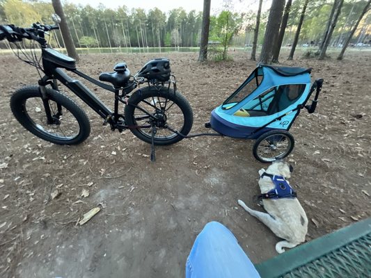 DELLINGER PARK - Updated October 2025 - 46 Photos & 13 Reviews - 100 ...