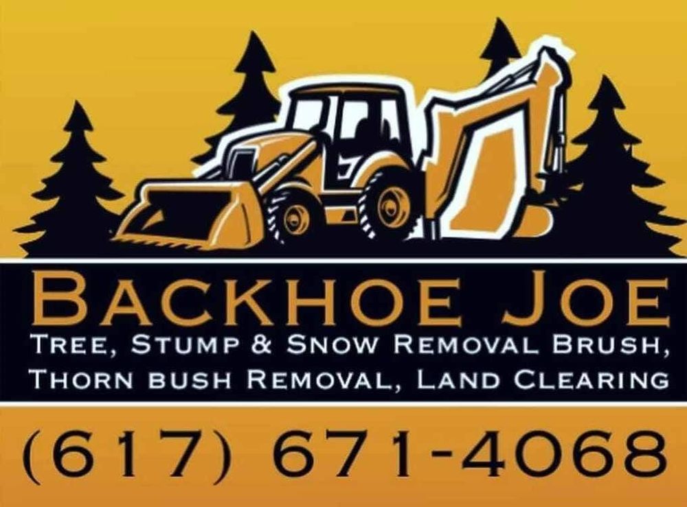 BACKHOE JOE - Updated August 2025 - Scituate, Massachusetts - Tree ...