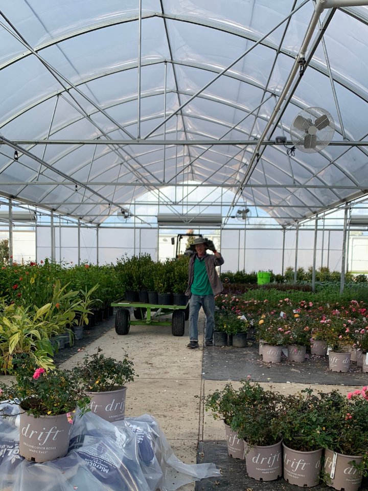 NEWTON NURSERIES - SPRING - Updated May 2024 - 12 Photos - 21121 N Fwy ...