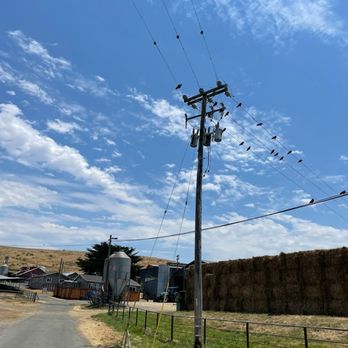 POINT REYES FARMSTEAD CHEESE COMPANY - Updated November 2025 - 222 ...