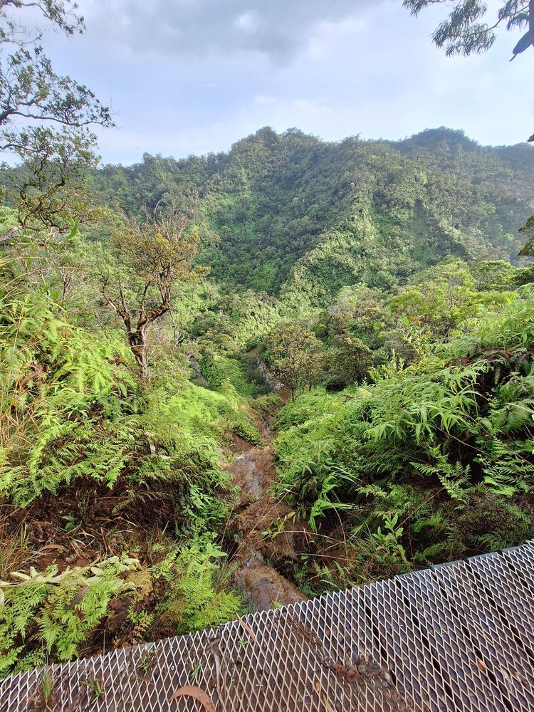 POAMOHO RIDGE TRAIL - Updated December 2025 - 98 Photos & 12 Reviews ...