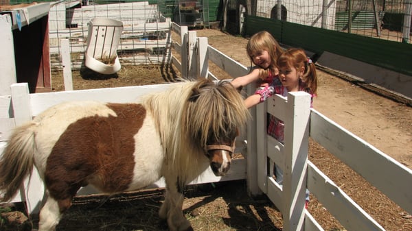 MOON FARM - 28 Photos - 1360 18 1/2 Rd, Fruita, CO - Yelp