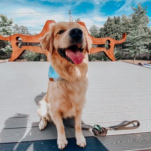 FIVE NIGHTCLUB - 44 Photos & 28 Reviews - 5 Applegate Ct, Madison ...