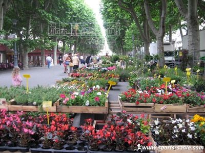 MARCHÉ AUX FLEURS - Updated May 2025 - allées paul riquet, Béziers ...